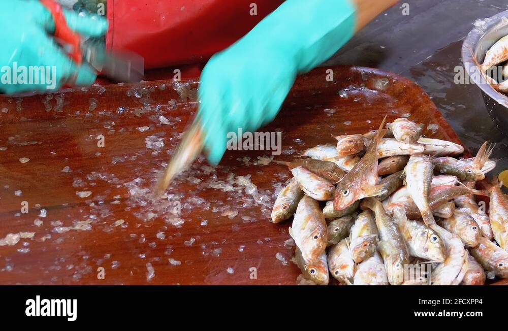 Cutting Fish in Market Stall. Woman Manual cleaning and Cuts Fresh Fish ...