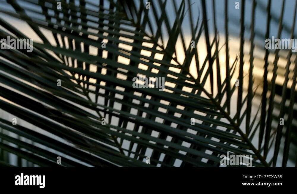 Background design Stock Videos & Footage - HD and 4K Video Clips - Alamy