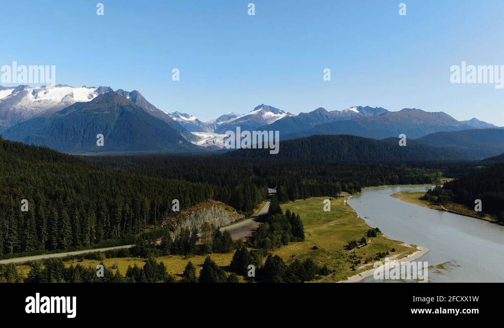 Temporal forest Stock Videos & Footage - HD and 4K Video Clips - Alamy