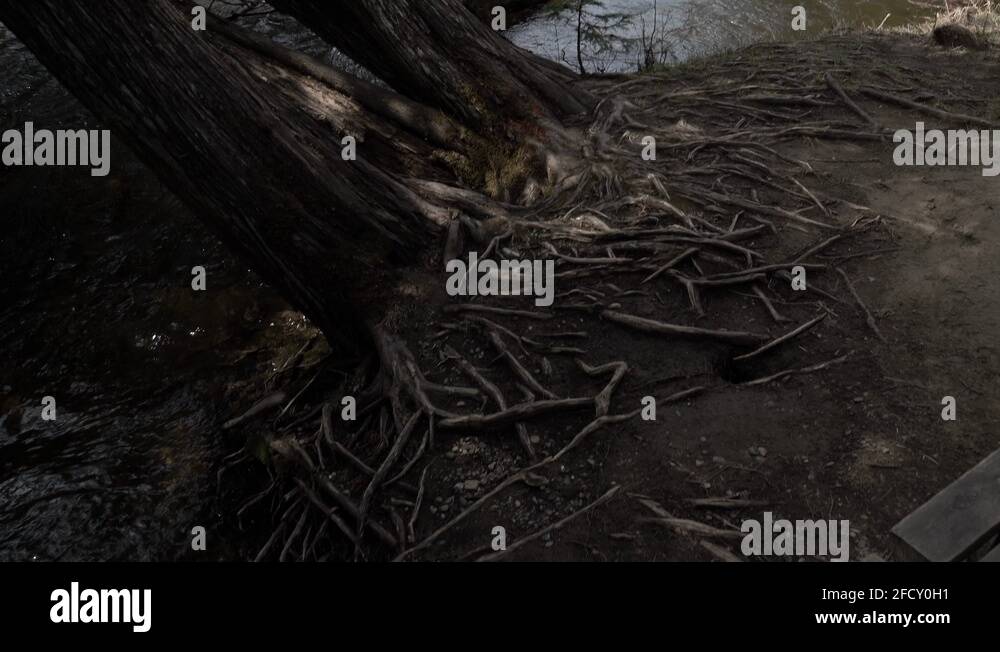 Exposed river bank Stock Videos & Footage - HD and 4K Video Clips - Alamy