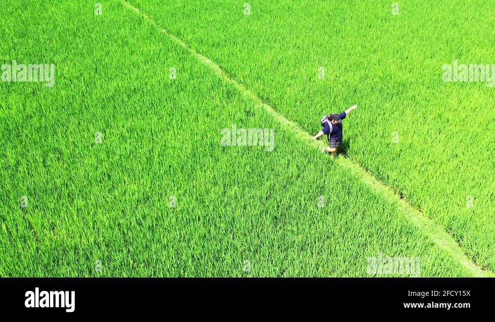 Hectares of land Stock Videos & Footage - HD and 4K Video Clips - Alamy