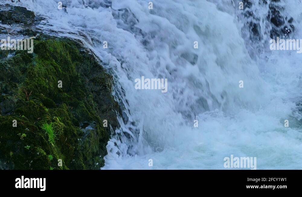Green algae waterfall Stock Videos & Footage - HD and 4K Video Clips ...