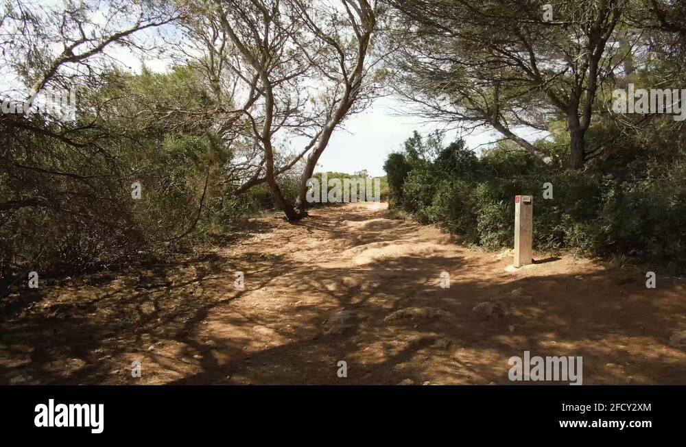 Trail path way Stock Videos & Footage - HD and 4K Video Clips - Alamy