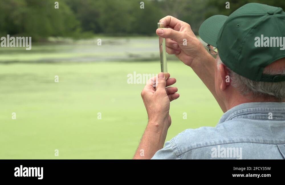 Environmental scientist looking at water sample Stock Video Footage - Alamy