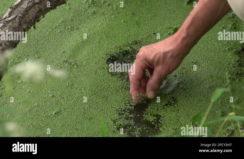 Close up scientist hand sample Stock Videos & Footage - HD and 4K Video ...