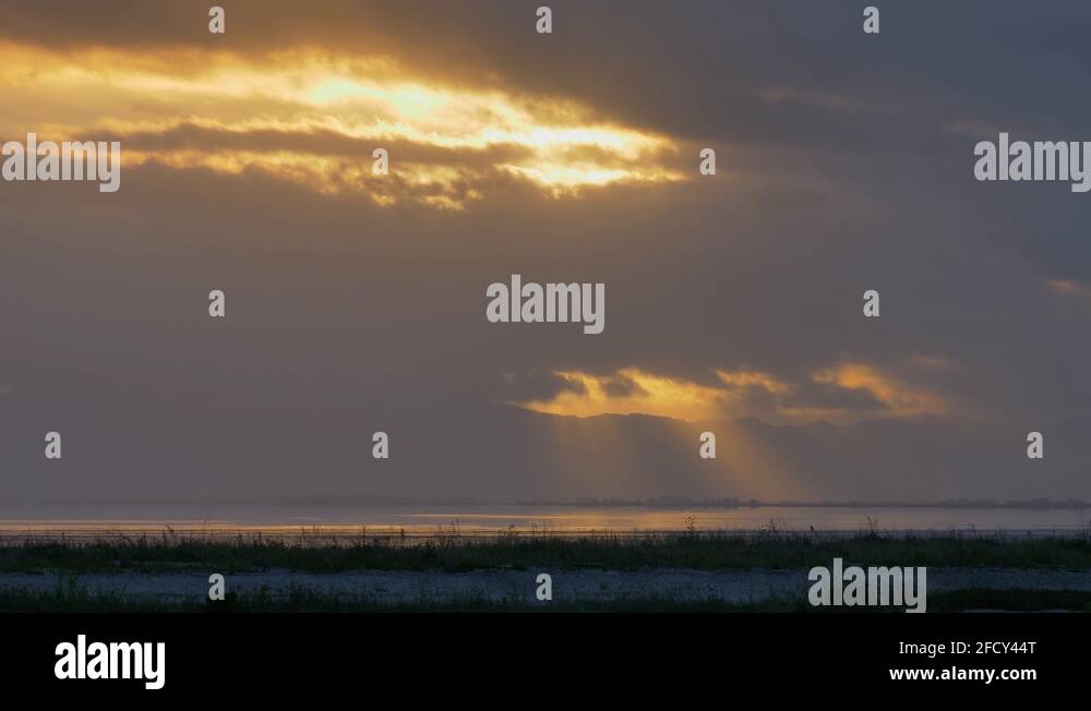 Miranda new zealand Stock Videos & Footage - HD and 4K Video Clips - Alamy