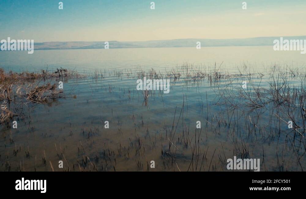 Lake of kinneret Stock Videos & Footage - HD and 4K Video Clips - Alamy
