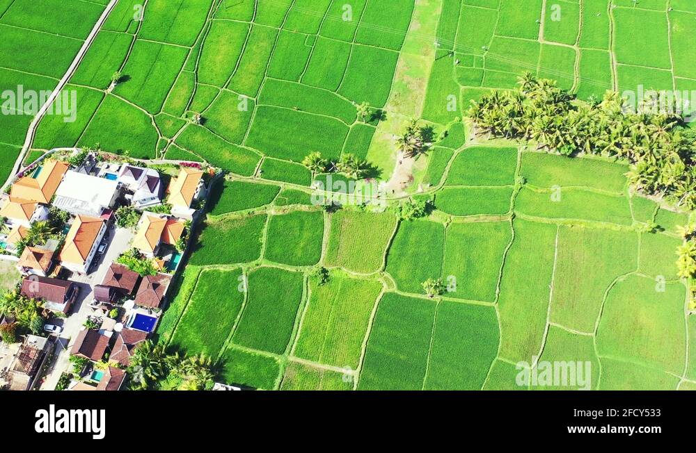 Rural village rice fields Stock Videos & Footage - HD and 4K Video ...