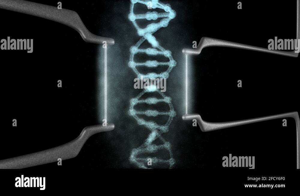 Human dna screening Stock Videos & Footage - HD and 4K Video Clips - Alamy