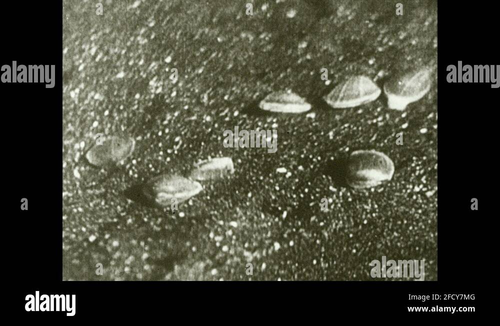 Sand bury Stock Videos & Footage - HD and 4K Video Clips - Alamy