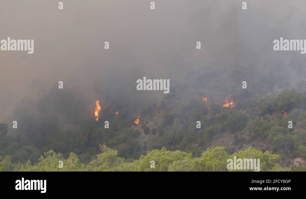 Cyprus forest fire Stock Videos & Footage - HD and 4K Video Clips - Alamy