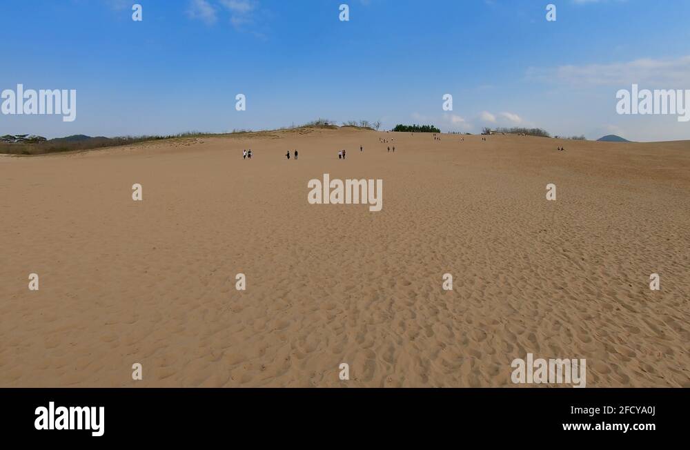 Japan sand Stock Videos & Footage - HD and 4K Video Clips - Alamy
