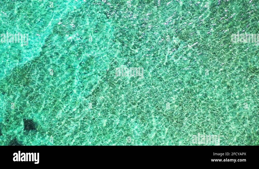 Indonesian Sea Showing A Beautiful Crystal Green Sea Water With The ...