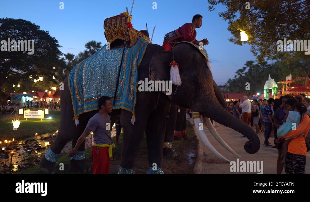 Elephant lantern Stock Videos & Footage - HD and 4K Video Clips - Alamy