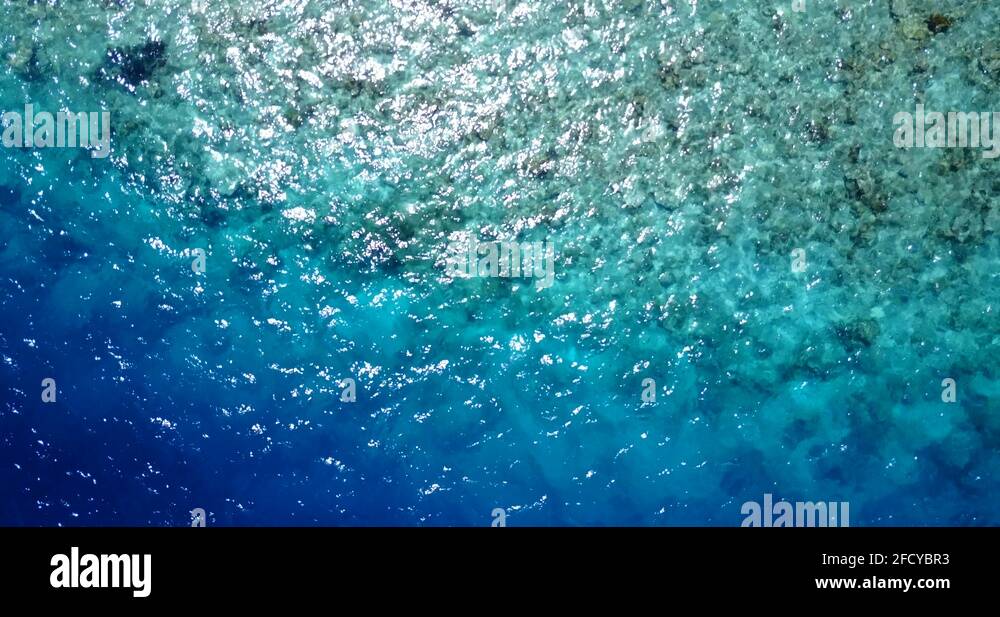 Beautiful coral reefs Stock Videos & Footage - HD and 4K Video Clips ...