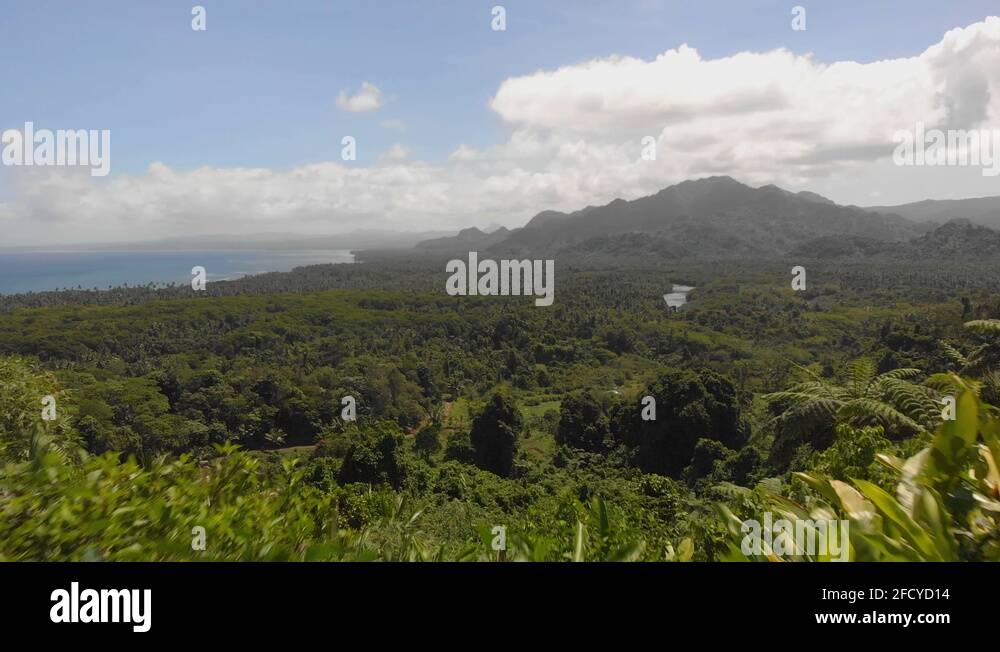 Fiji rainforest Stock Videos & Footage - HD and 4K Video Clips - Alamy