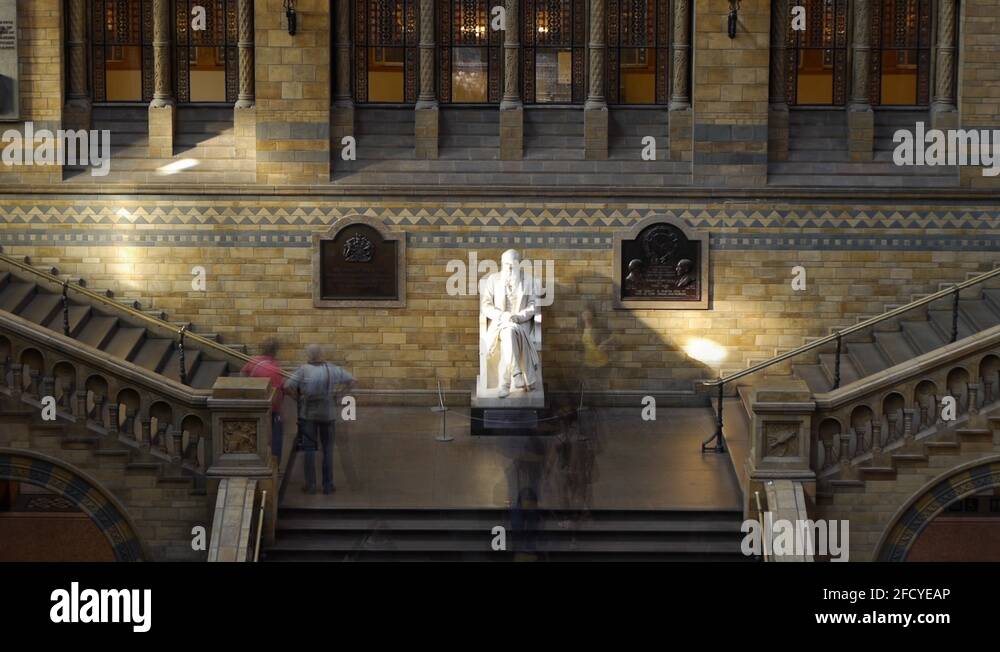 Charles darwin Stock Videos & Footage - HD and 4K Video Clips - Alamy