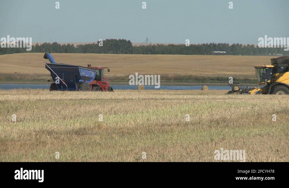 Grain harvest unloading Stock Videos & Footage - HD and 4K Video Clips ...