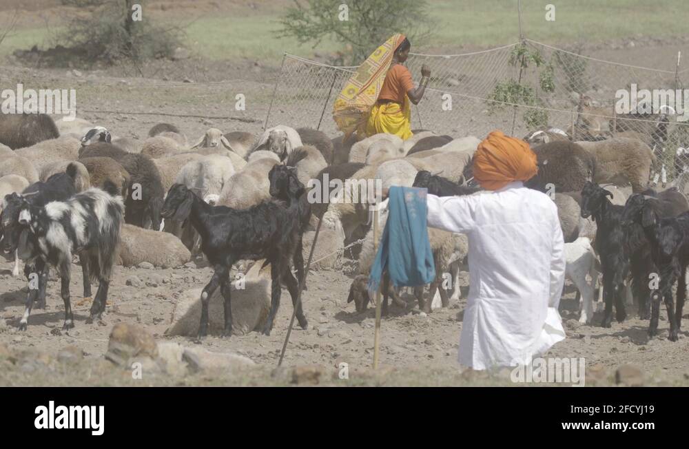 Tribal people farming Stock Videos & Footage - HD and 4K Video Clips ...