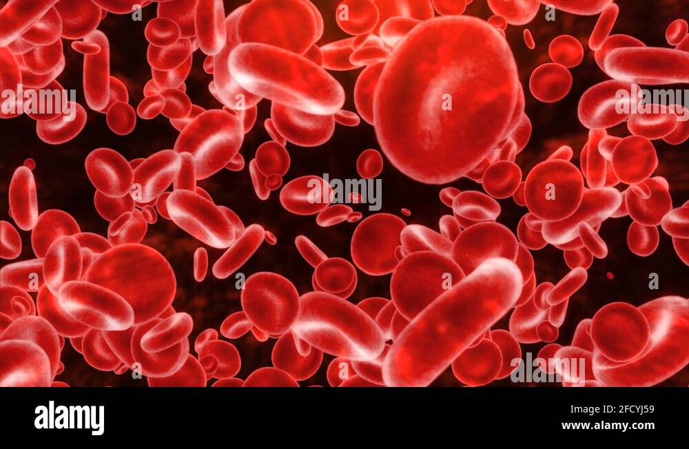 Blood vessel cell Stock Videos & Footage - HD and 4K Video Clips - Alamy