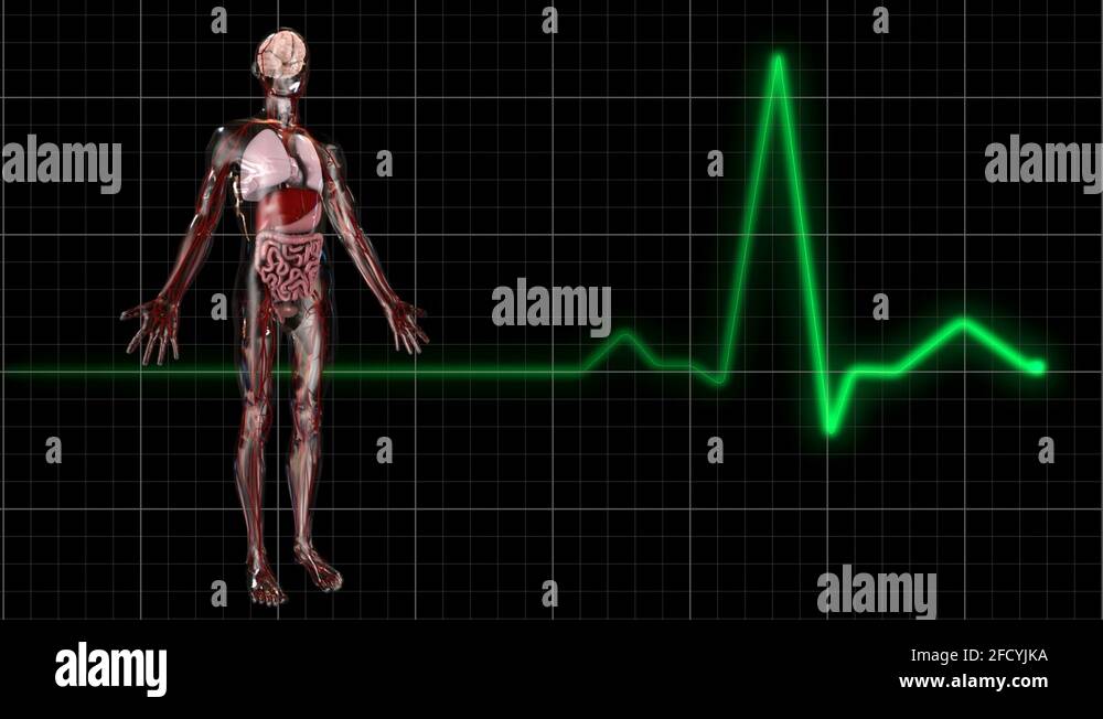 Body and ECG Trace Stock Video Footage - Alamy