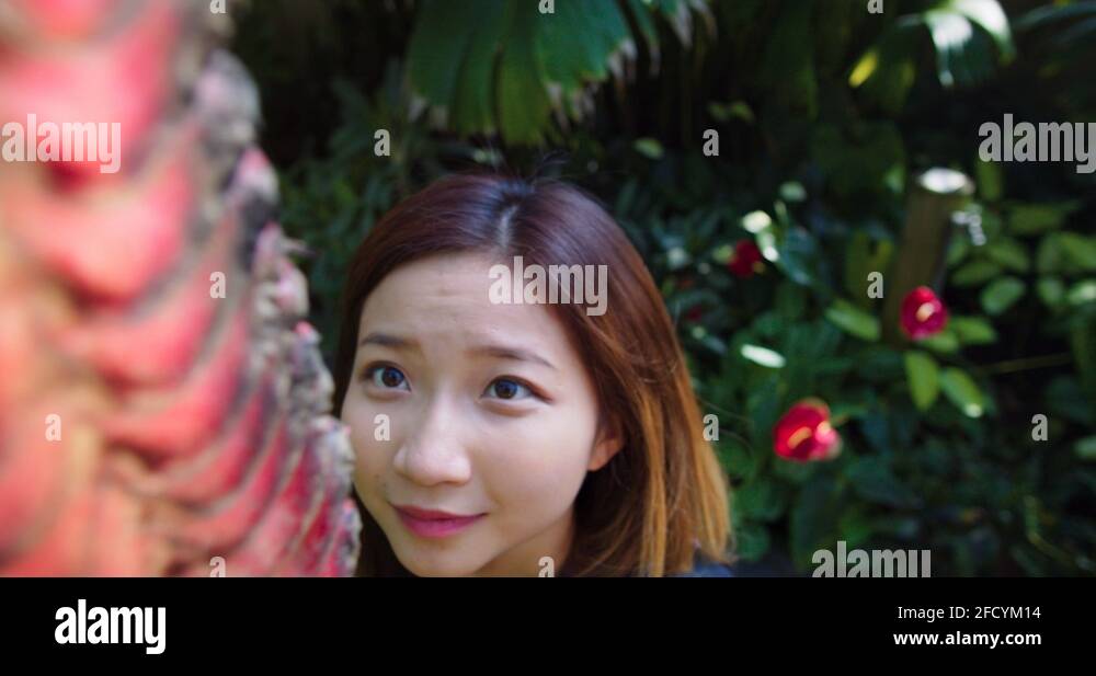 Red heliconia plant Stock Videos & Footage - HD and 4K Video Clips - Alamy