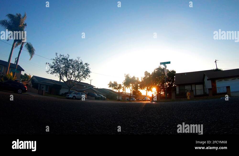 Police squad Stock Videos & Footage - HD and 4K Video Clips - Alamy