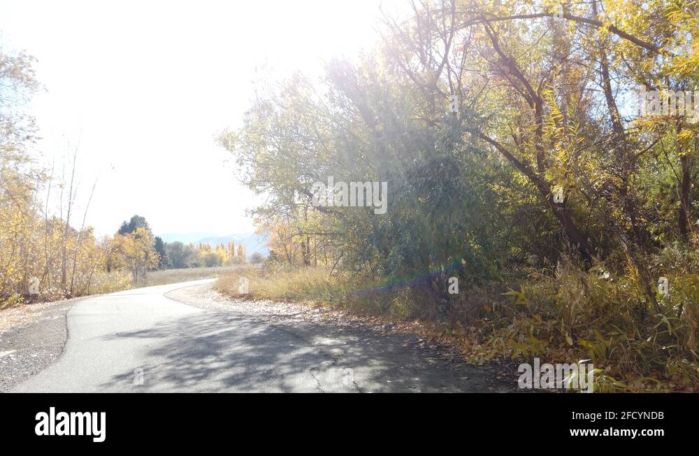 Loop walk trail Stock Videos & Footage - HD and 4K Video Clips - Alamy