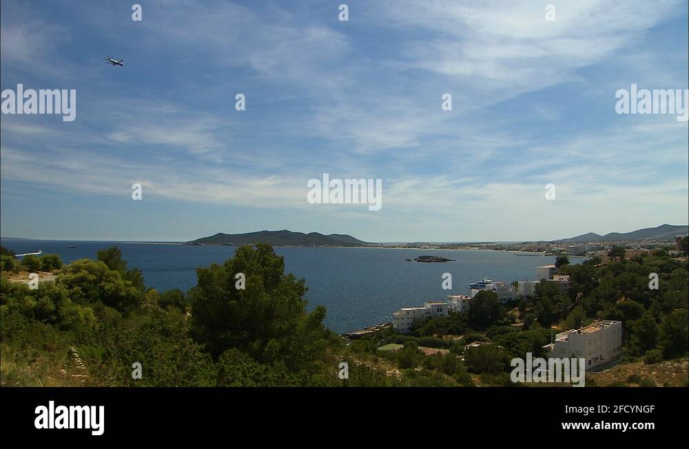 France plane trees Stock Videos & Footage - HD and 4K Video Clips - Alamy