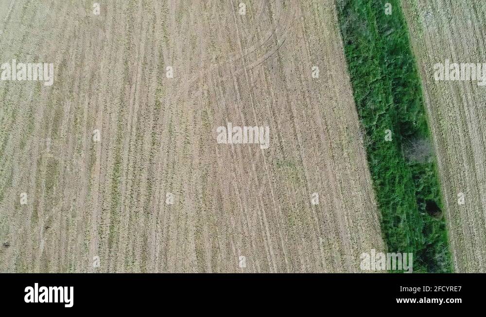 Zenith zoom Stock Videos & Footage - HD and 4K Video Clips - Alamy