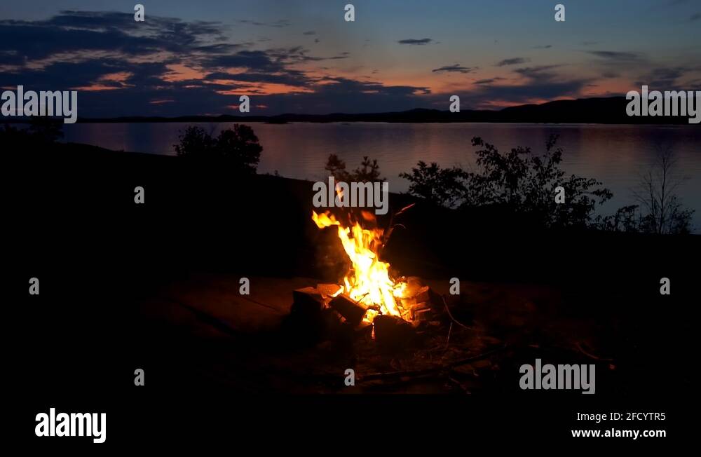 Edward wood Stock Videos & Footage - HD and 4K Video Clips - Alamy