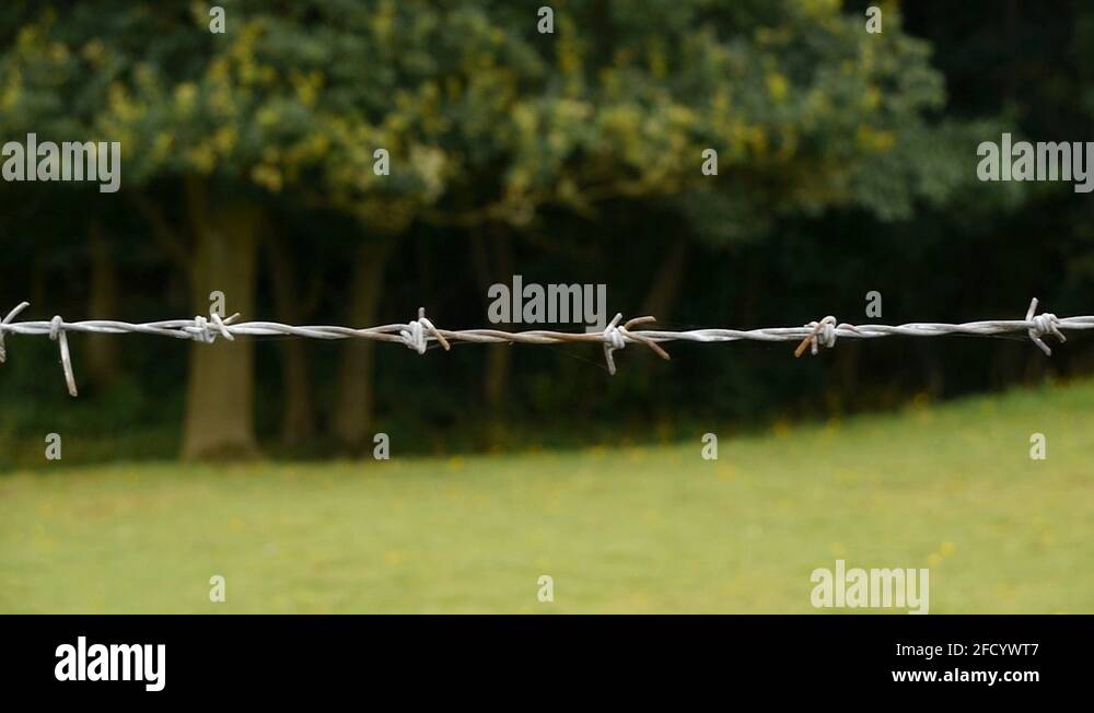 Strand of wire Stock Videos & Footage - HD and 4K Video Clips - Alamy