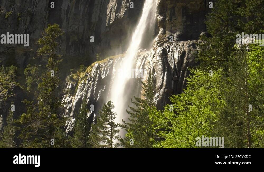 Alpine waterfall cascading down mountain rock face with pine trees ...