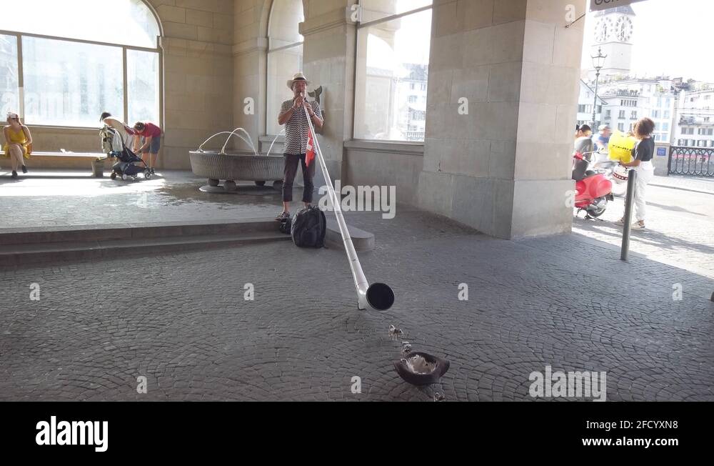 Switzerland instruments instrument Stock Videos & Footage - HD and 4K ...