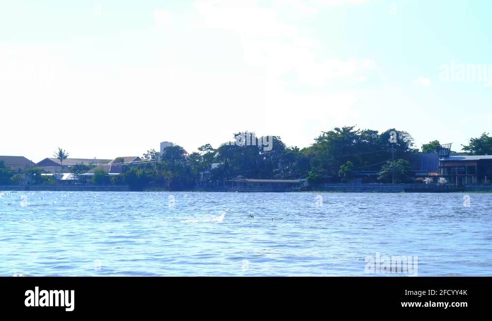 Lead boat Stock Videos & Footage - HD and 4K Video Clips - Alamy