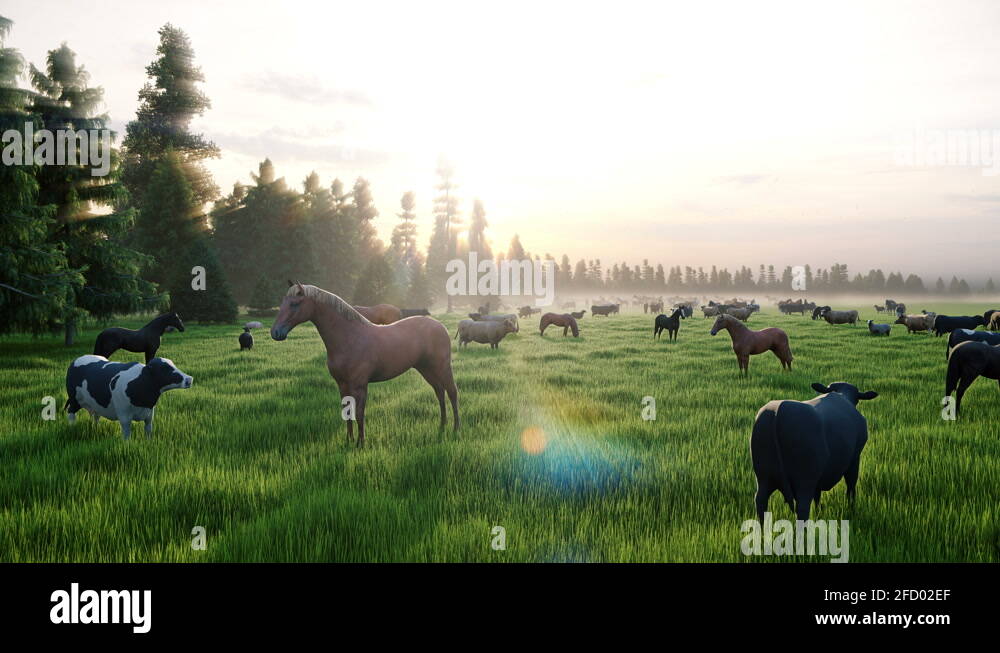 Green animal husbandry Stock Videos & Footage - HD and 4K Video Clips ...