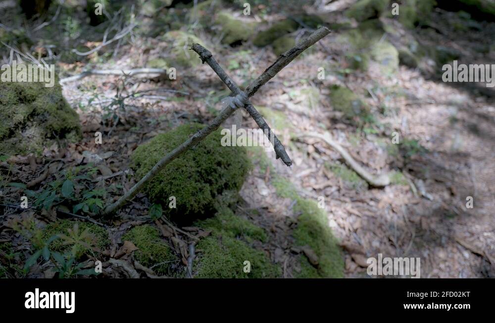 Cross in woods Stock Videos & Footage - HD and 4K Video Clips - Alamy