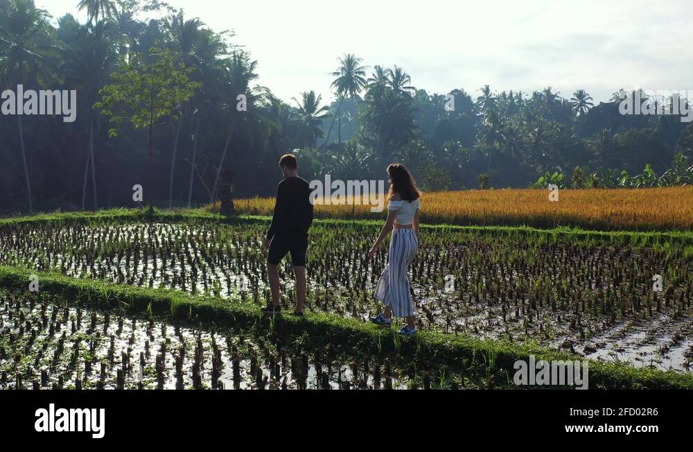 Couple Visiting The Beautiful And Bountiful Rice Fields Of Coron ...