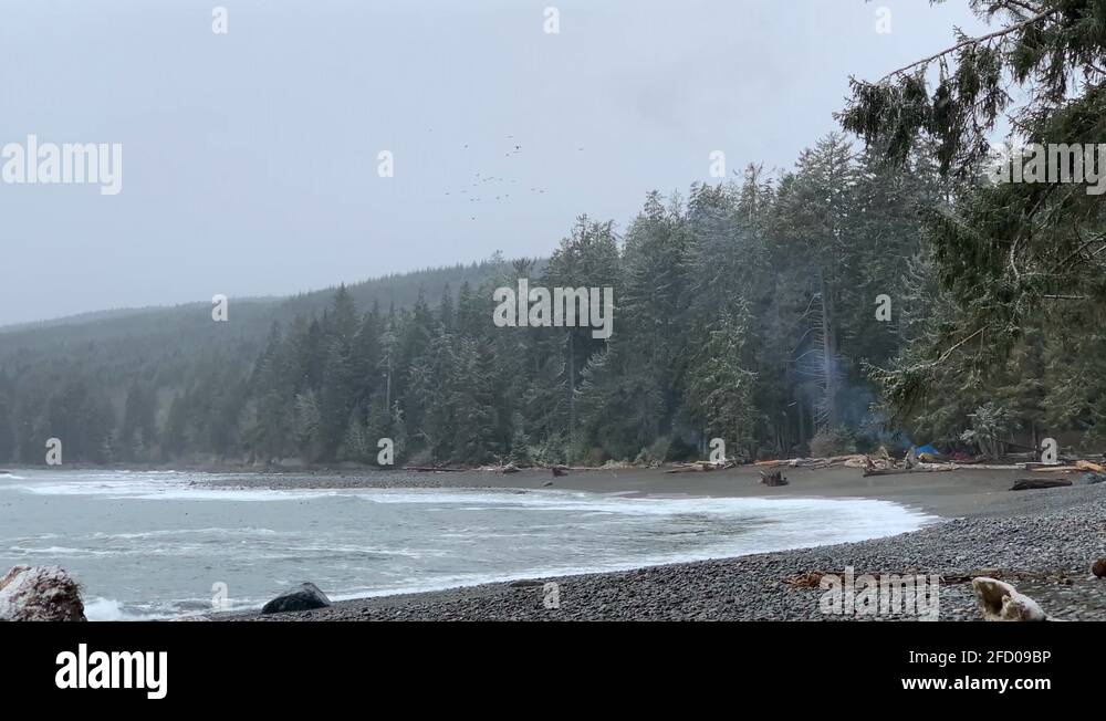 Bc coast forest Stock Videos & Footage - HD and 4K Video Clips - Alamy
