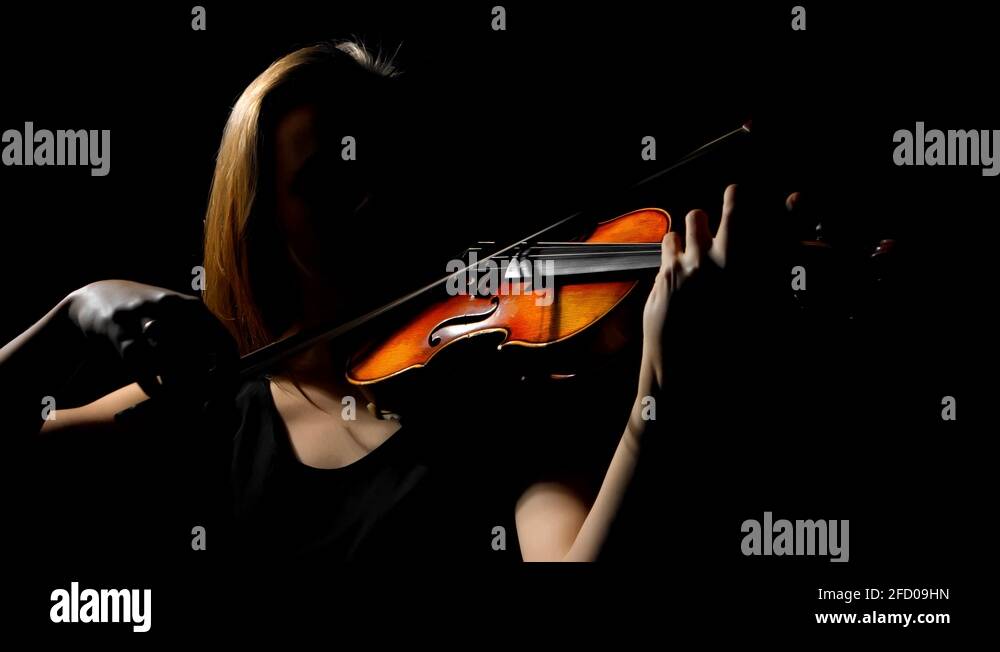 Violin front view isolated on Stock Videos & Footage - HD and 4K Video ...