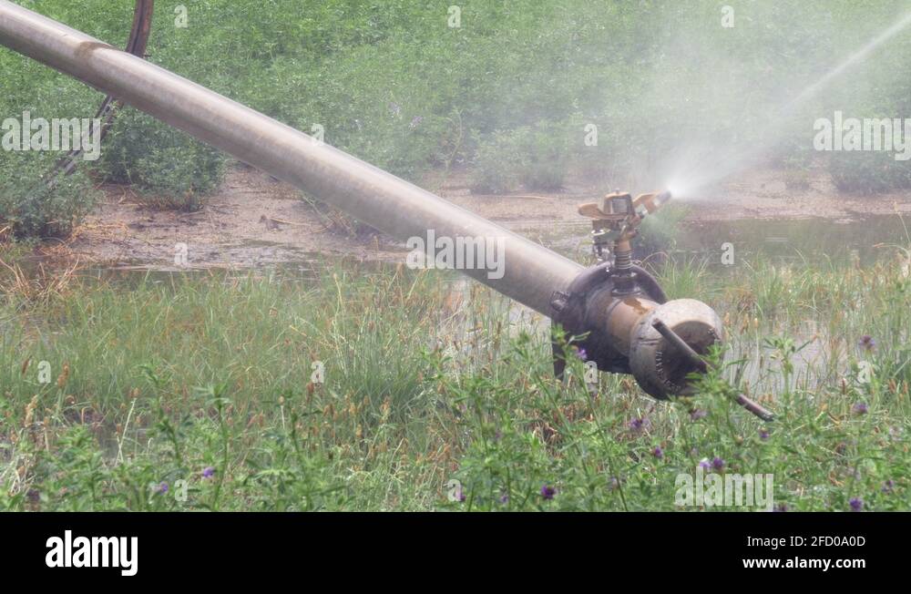 Sprinkler from a rolling irrigation system rotating fast to the left ...