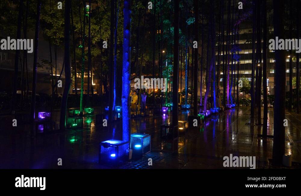 Famous forest Stock Videos & Footage - HD and 4K Video Clips - Alamy