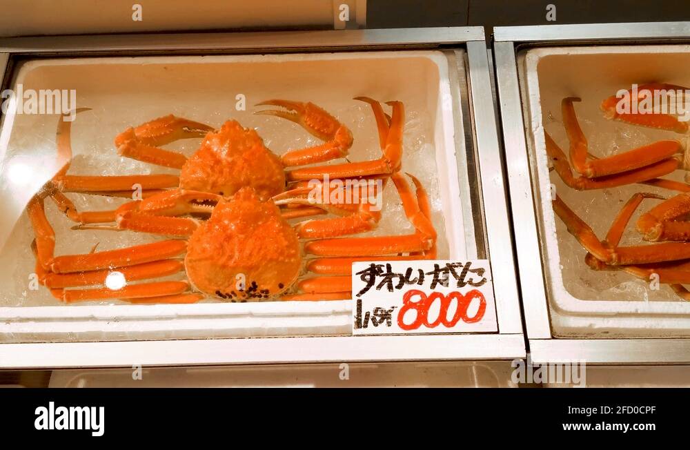 Jumbo crabs package ice box selling in fish market store, snow crabs ...
