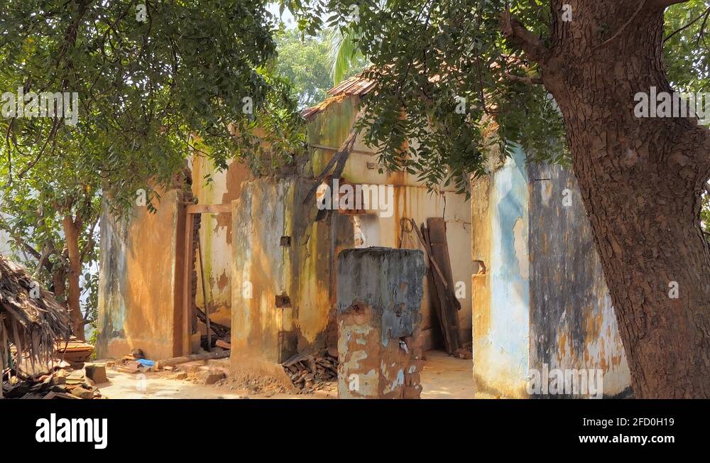 Palm leaf hut Stock Videos & Footage - HD and 4K Video Clips - Alamy