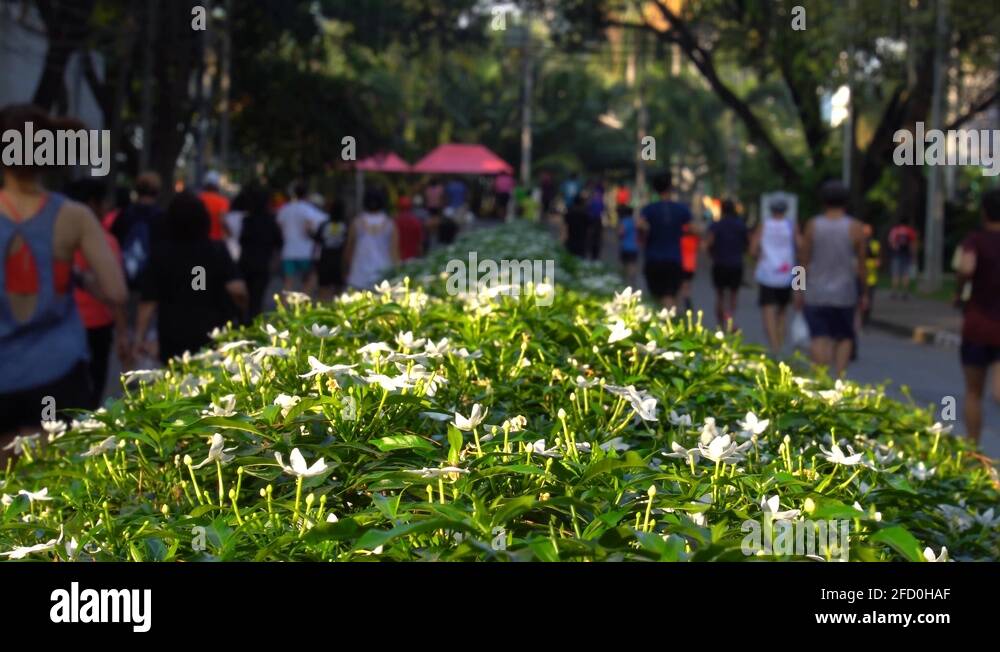Hit the pavement Stock Videos & Footage - HD and 4K Video Clips - Alamy
