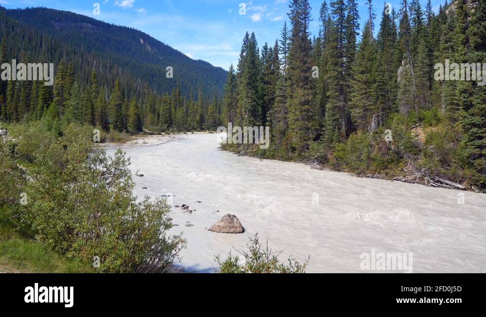 POV White river from Takakkaw Water Falls in Banff national park Stock ...