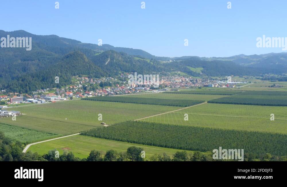 Beautiful fields illustration Stock Videos & Footage - HD and 4K Video ...