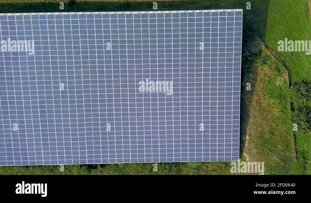 Plant structures Stock Videos & Footage - HD and 4K Video Clips - Alamy