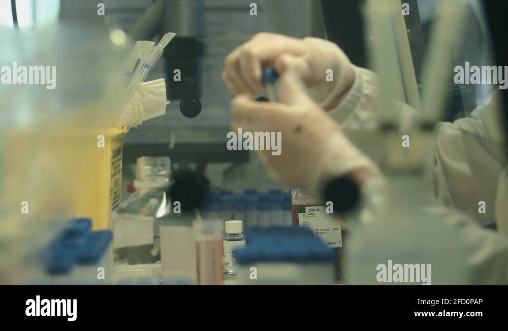 Medical sampling Stock Videos & Footage - HD and 4K Video Clips - Alamy