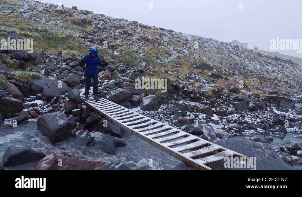 Woman walking across ladder Stock Videos & Footage - HD and 4K Video ...